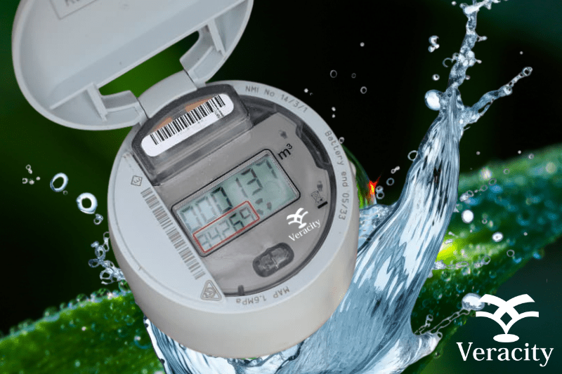 Smart Meter – Veracity Powertronics